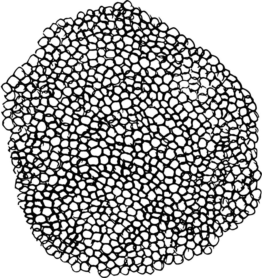 Creative Connected – Integrative Coaching for Creativity and Self Discovery