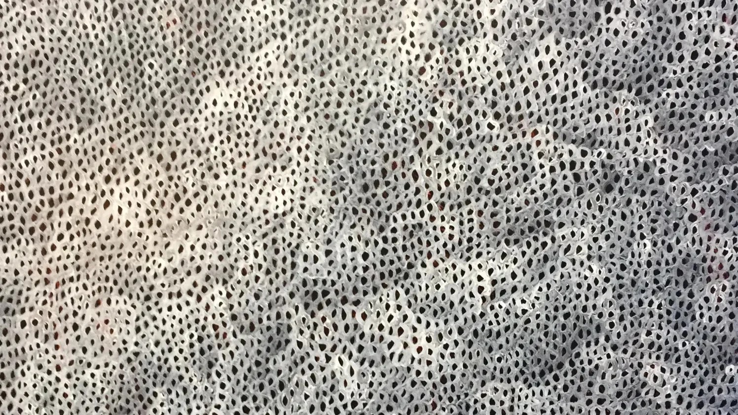 Creative Connected – Integrative Coaching for Creativity and Self Discovery